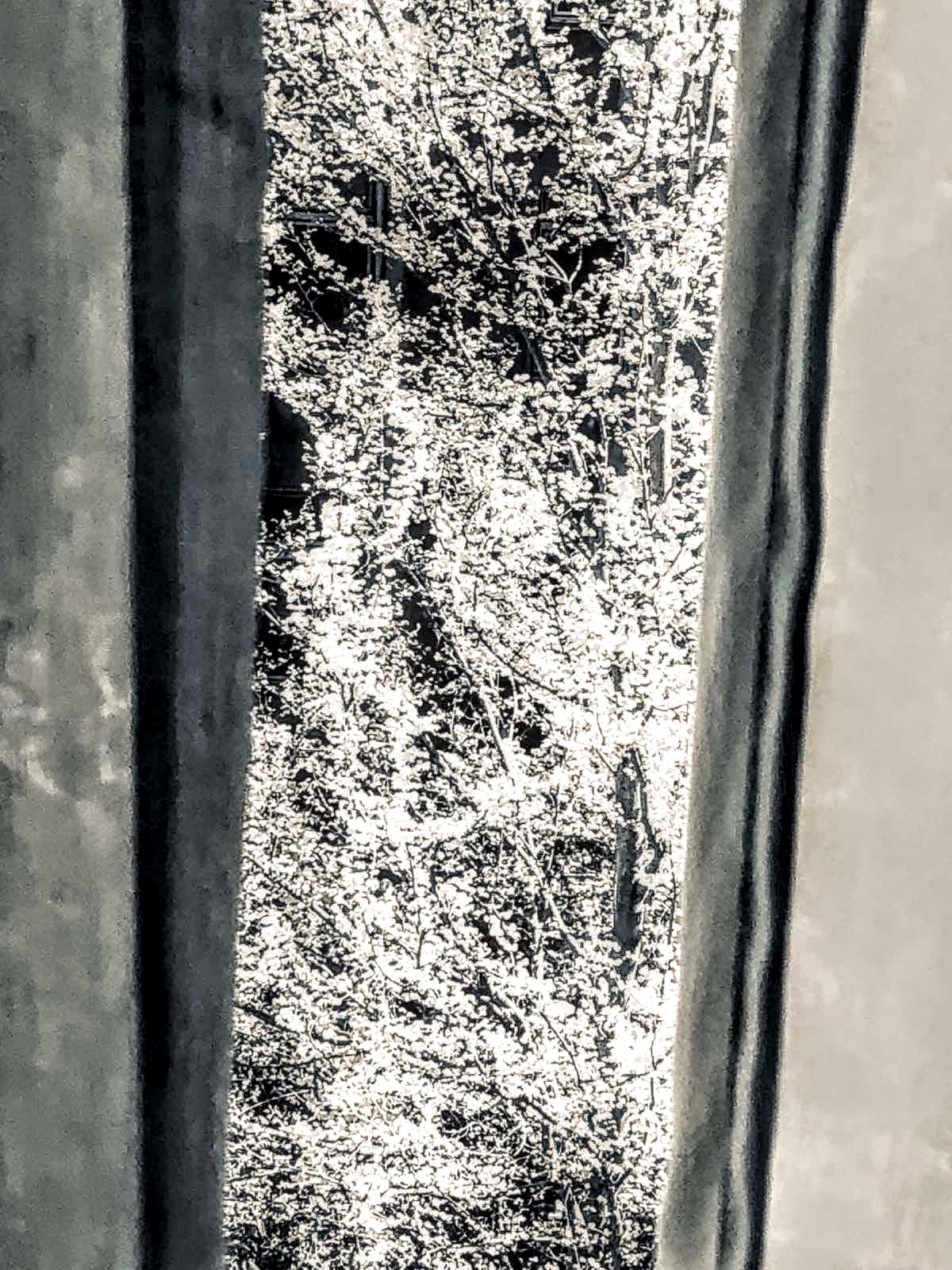Heidegger: The Death of God, Metaphysics, and Poetry | that-which