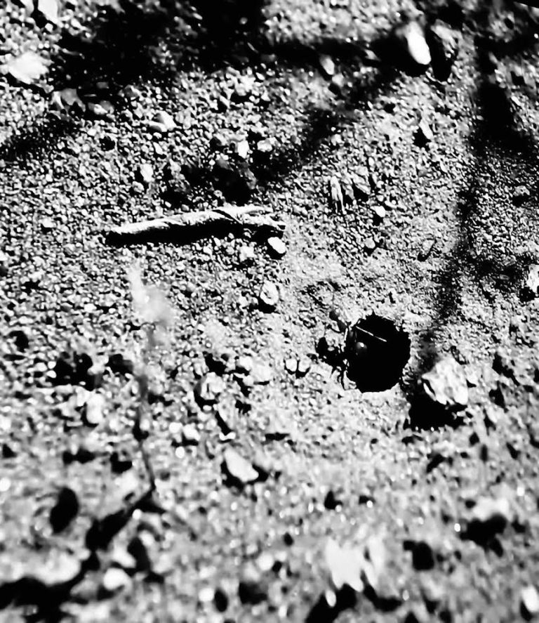 Sartre on Death in Being and Nothingness | that-which