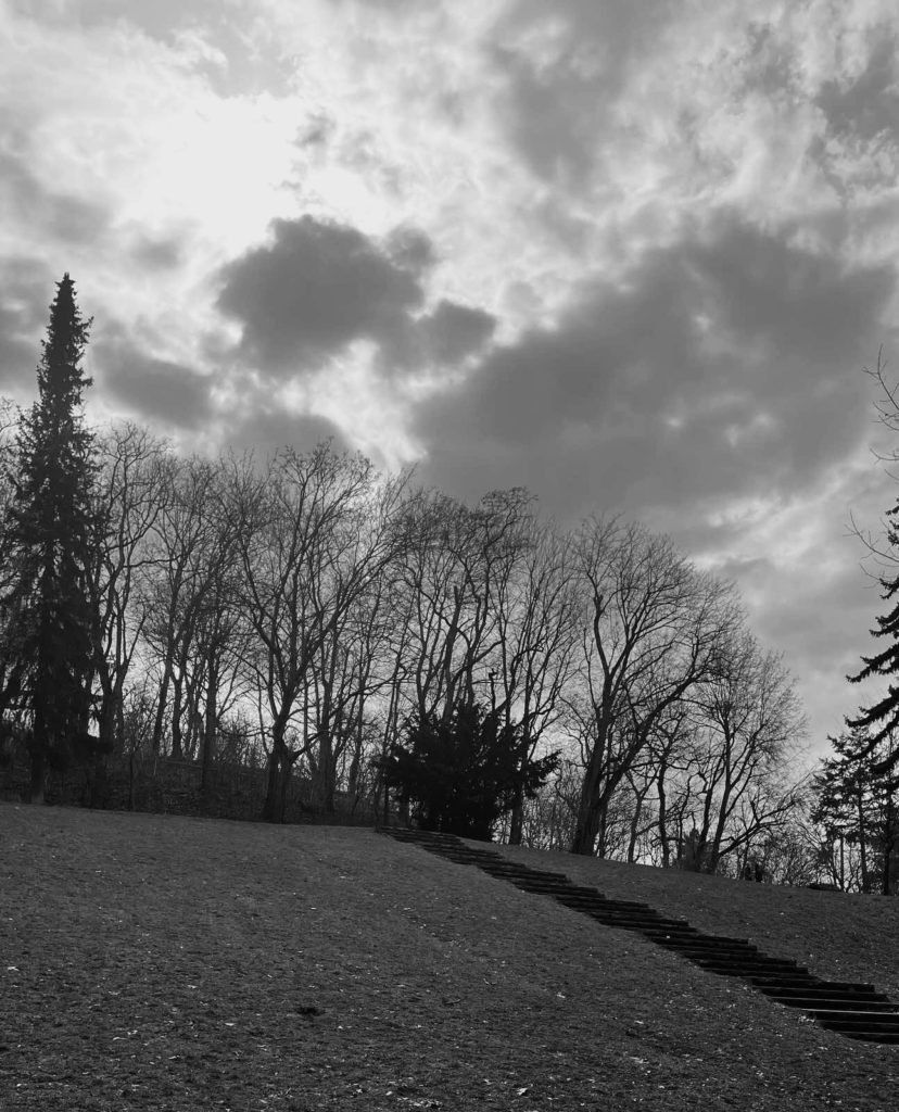 Heidegger on Temporality | that-which