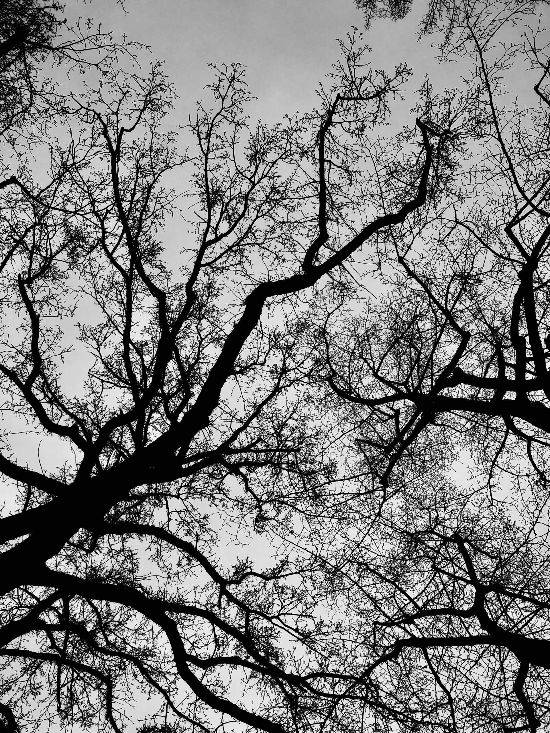 Explaining Heidegger’s “Standing Reserve” | that-which